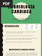 Prospecto-INMUFLU TBS - JAB | PDF | Sistema inmune | Linfocitos