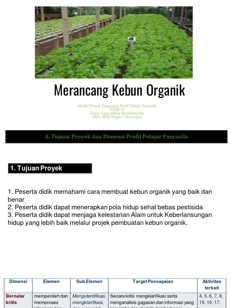 Modul Projek Kebun Organik | PDF