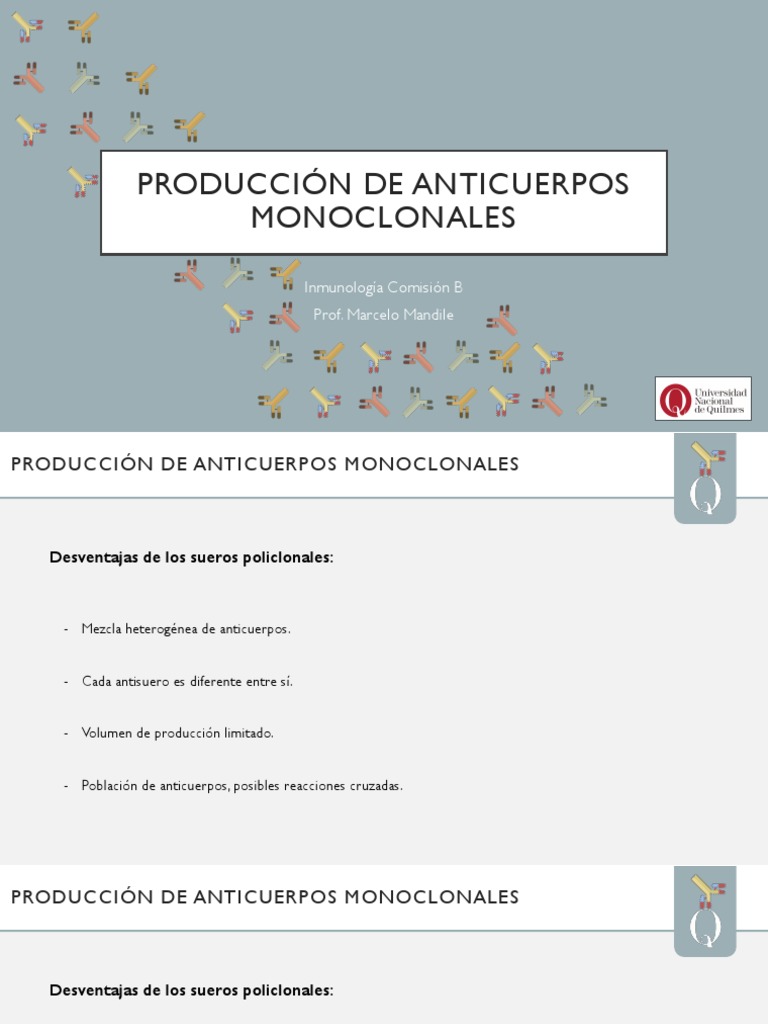 Presentación Producción de Anticuerpos Monoclonales MGM | PDF | Anticuerpo Monoclonal | Medicina