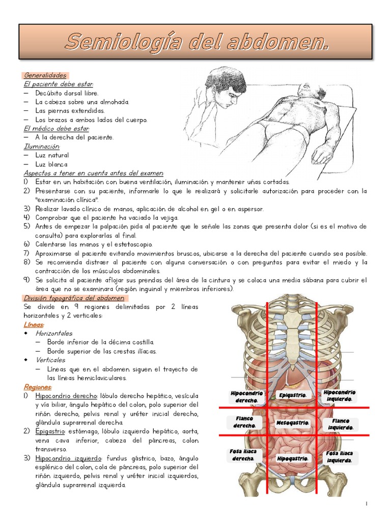 19 - Semiología Del Abdomen (Apunte Lautaro) | PDF | Abdomen | Mano