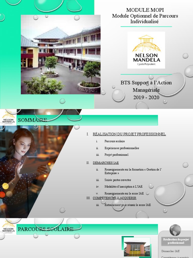Guide MOPI pour BTS SAM 2020 | PDF