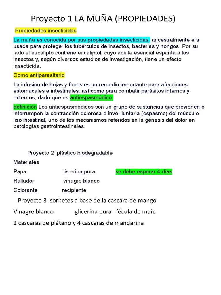 Proyecto 1 LA MUÑA | PDF