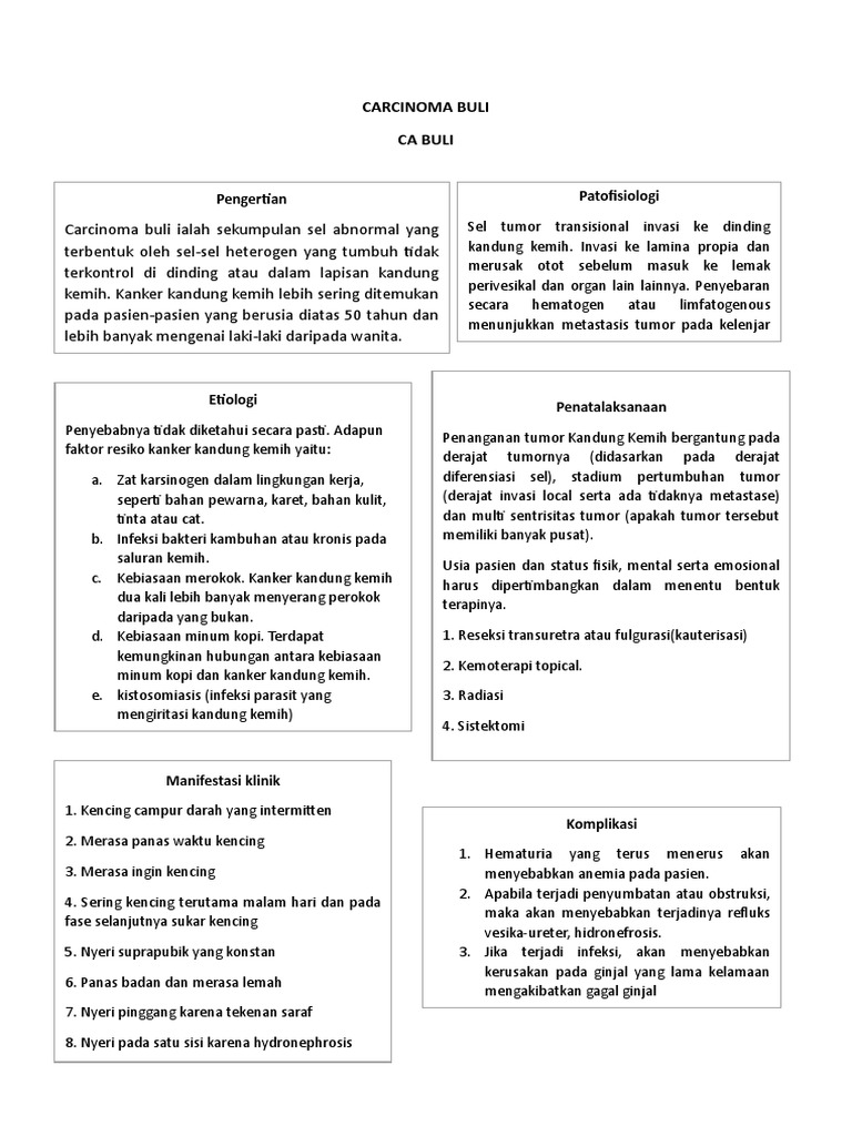 Ca Buli - Ayukamalin | PDF