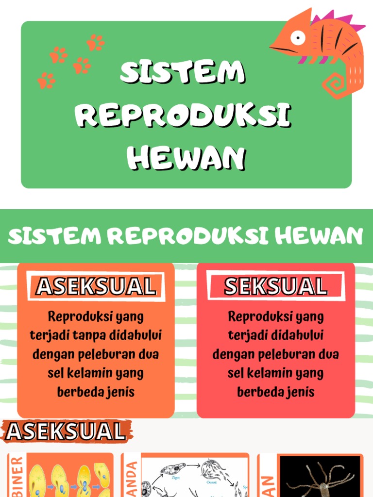 Sistem Reproduksi Hewan | PDF