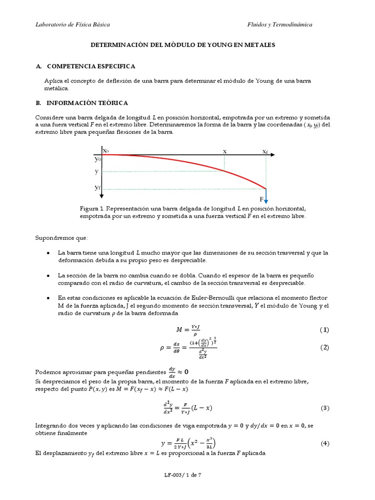 Informe N°3 Módulo de Young | PDF | Elasticidad (Física) | El módulo de ...