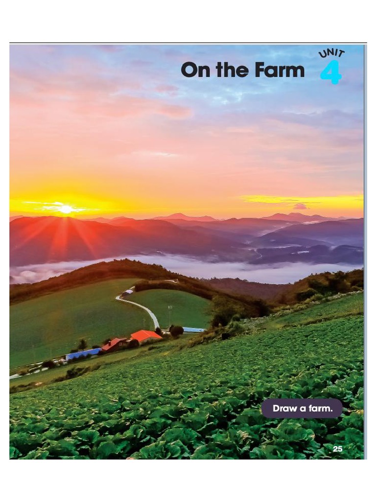 Look Starter Unit 4 | PDF