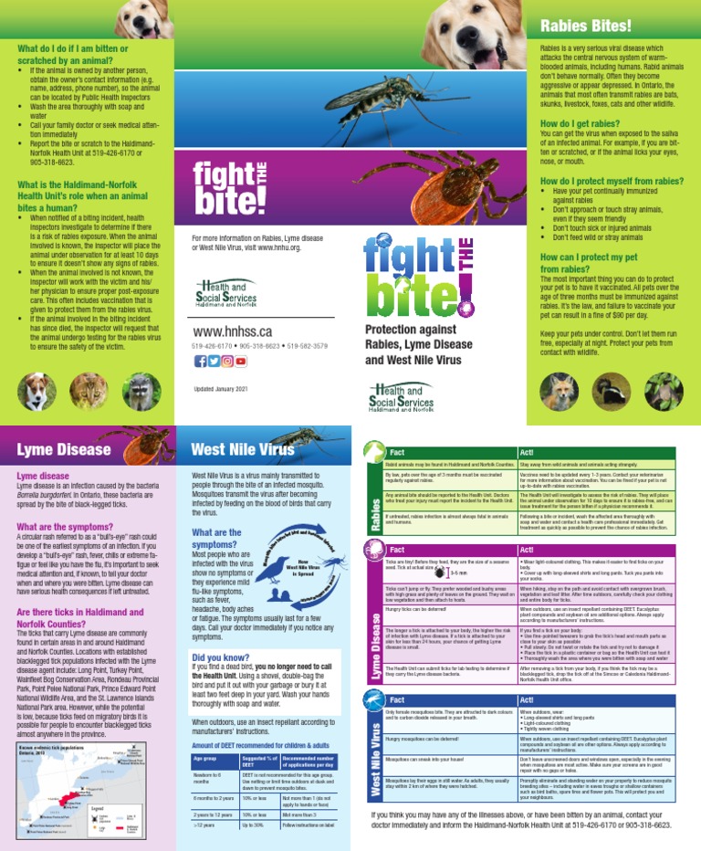 Fight The Bite Brochure | PDF | Rabies | Lyme Disease