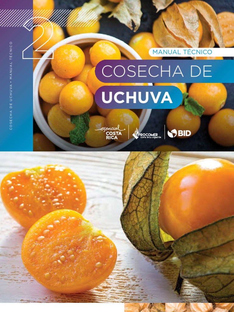 Manual Técnico de Cosecha de Uchuva | PDF | Riego | Cosecha