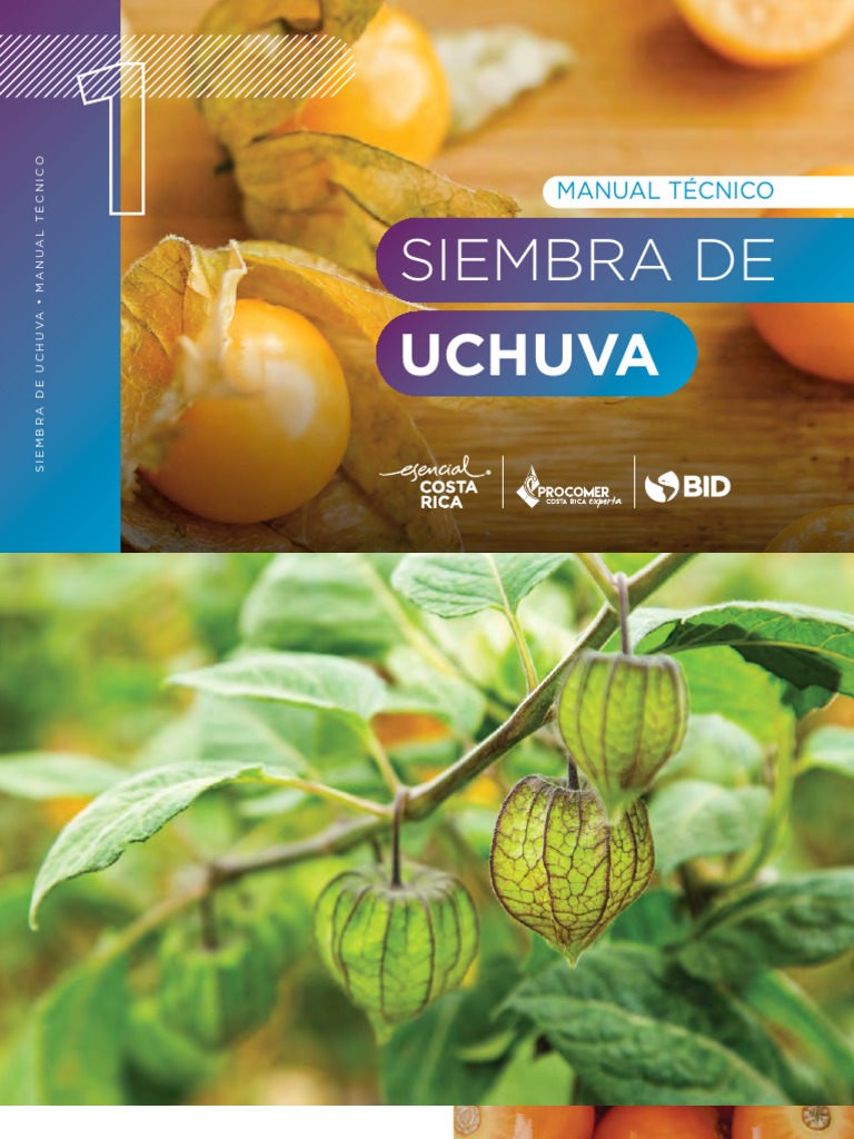 Manual de Siembra Uchuva | PDF | Fertilizante | Suelo
