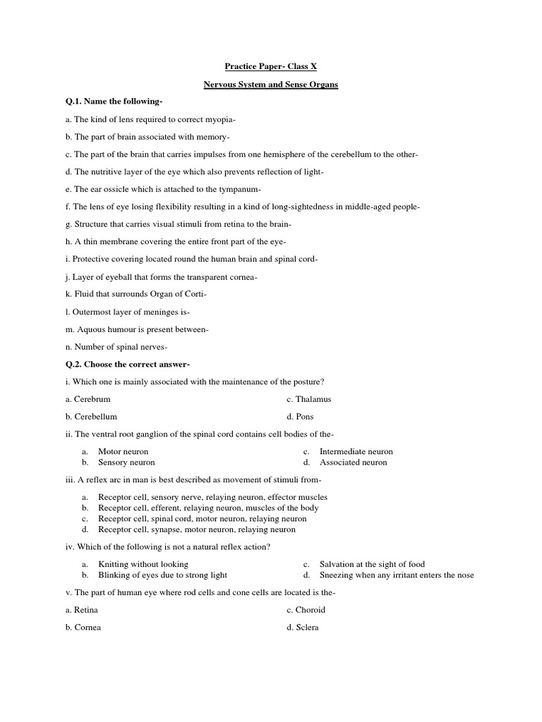 Nervous System & Sense Organs Practice Paper | PDF | Brain | Neuron