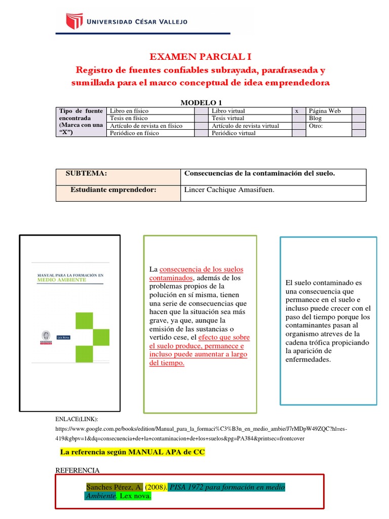 examen parcial lincer | PDF | Contaminación | Suelo