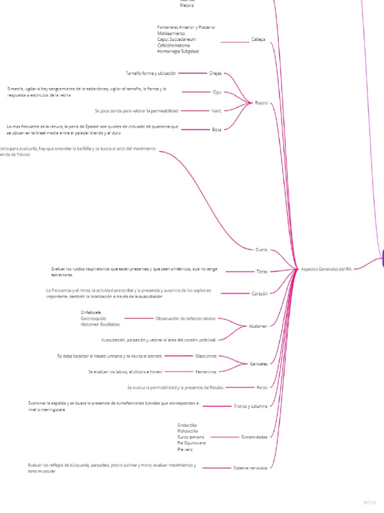 Mapas Mentales | PDF