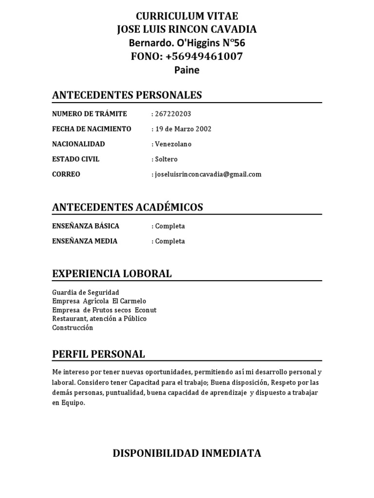 CURRICULUM VITAE JOSE LUIS RINCON (2) | PDF