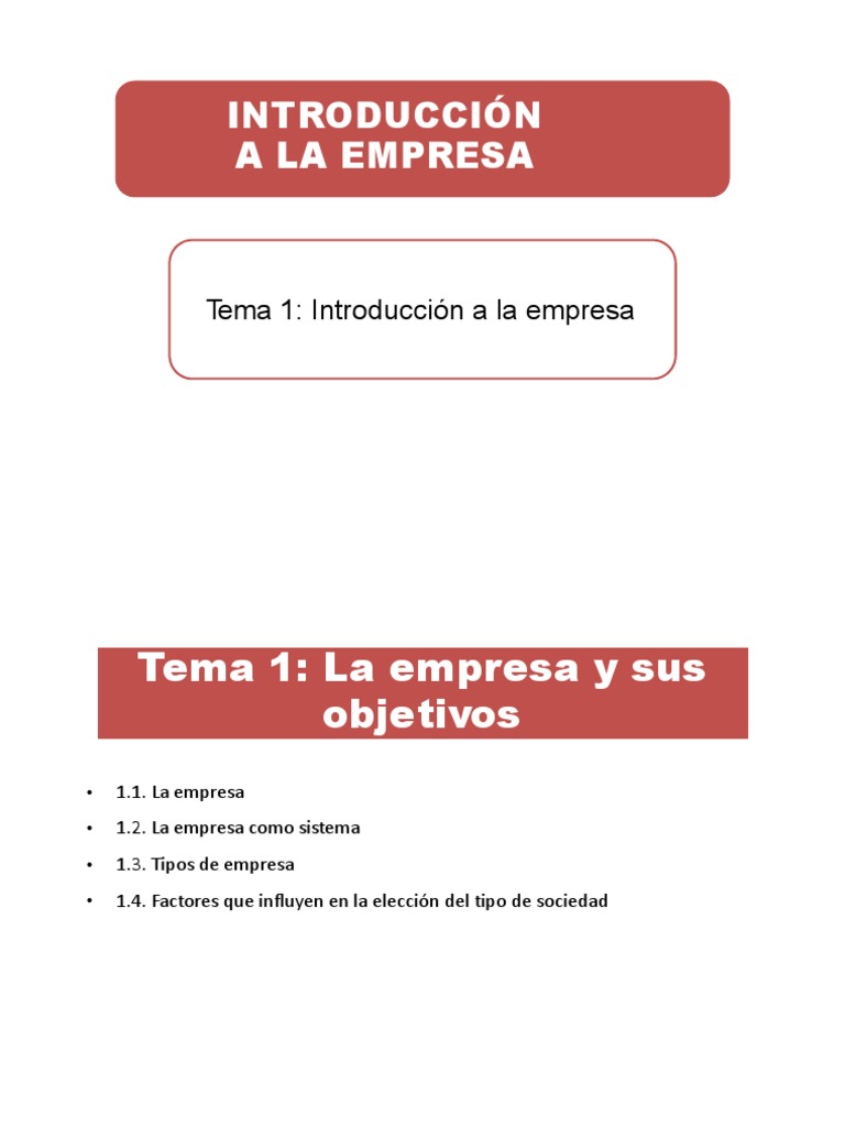 Tema 1. La Empresa y Sus Objetivos | Descargar gratis PDF | Mercado (economía) | Contabilidad
