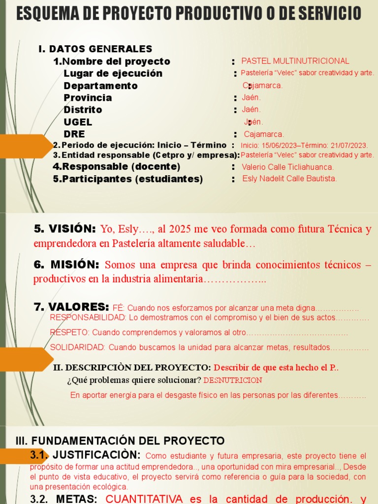 Exposicion Esquema de Proyecto | PDF | Economias