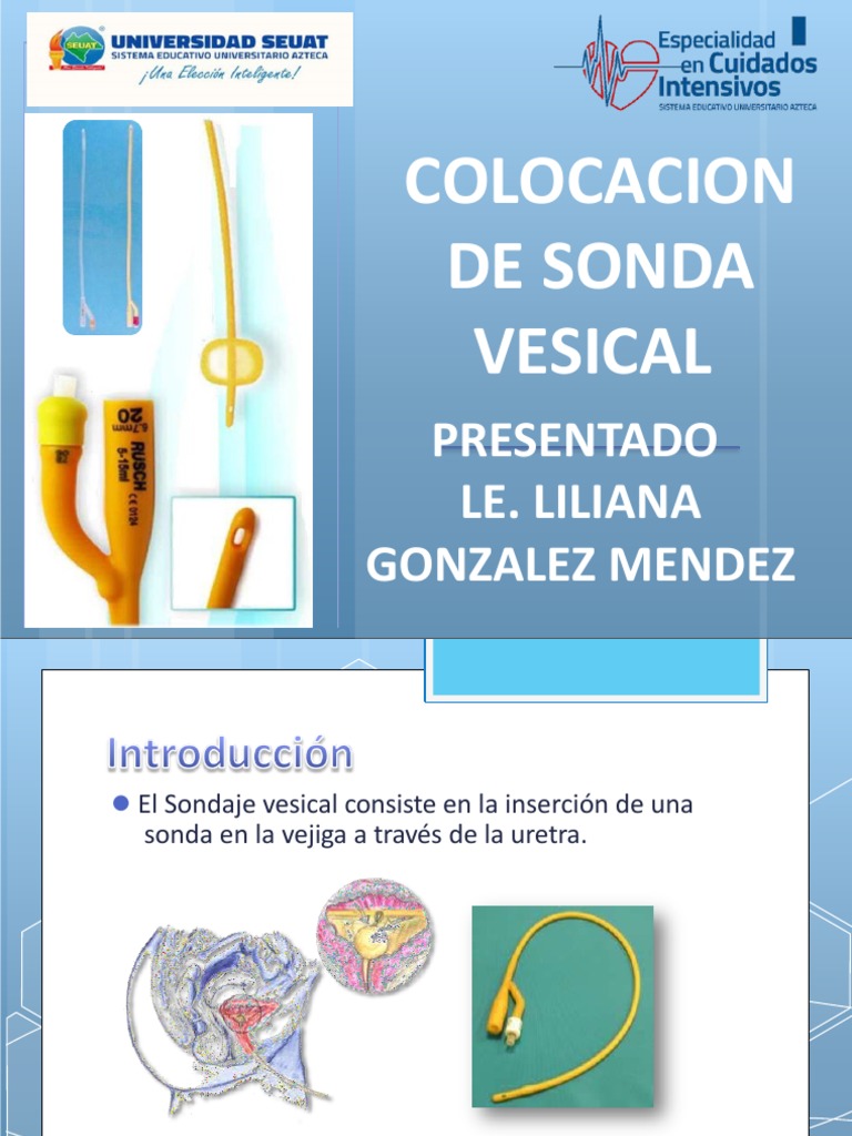 Colocación y cuidados de sonda vesical | PDF | Vejiga urinaria | Urología