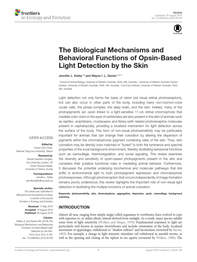 The Biological Mechanisms and Behavioral Functions of Opsin-Based Light ...
