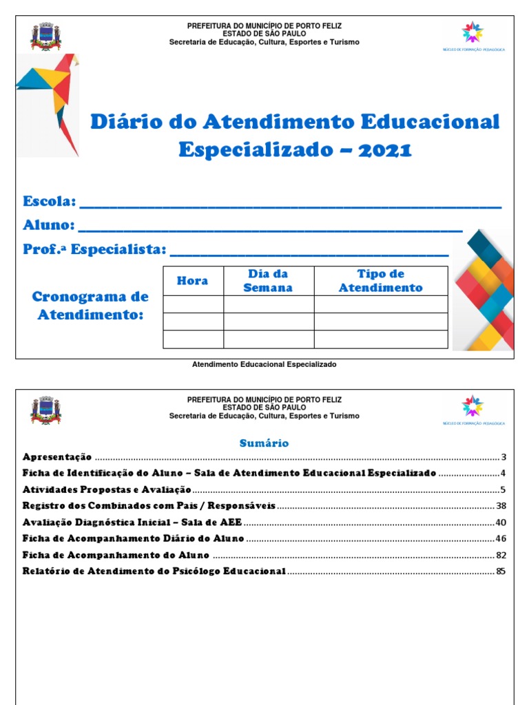 Diário de Atendimento Do Aee | PDF | Educação Especial | Pedagogia