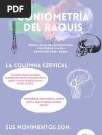 Cambios Modic Qué Son, Tipo y Diagnóstico InfoEspalda | PDF | Cirugía ...