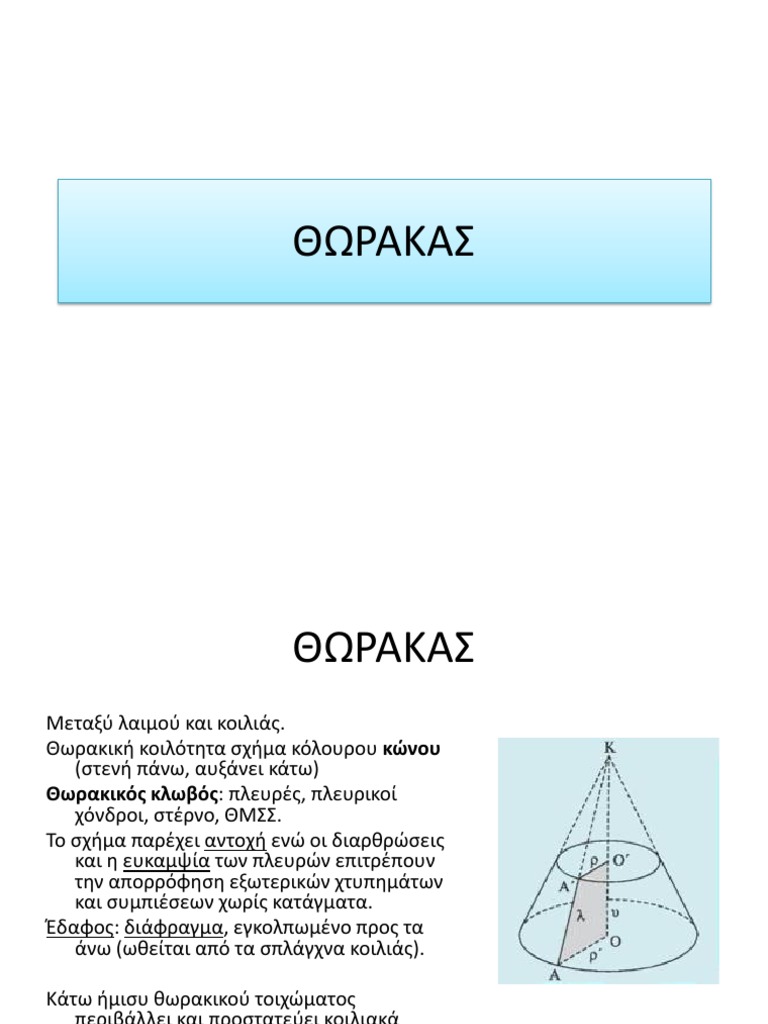 ΘΩΡΑΚΑΣ | PDF
