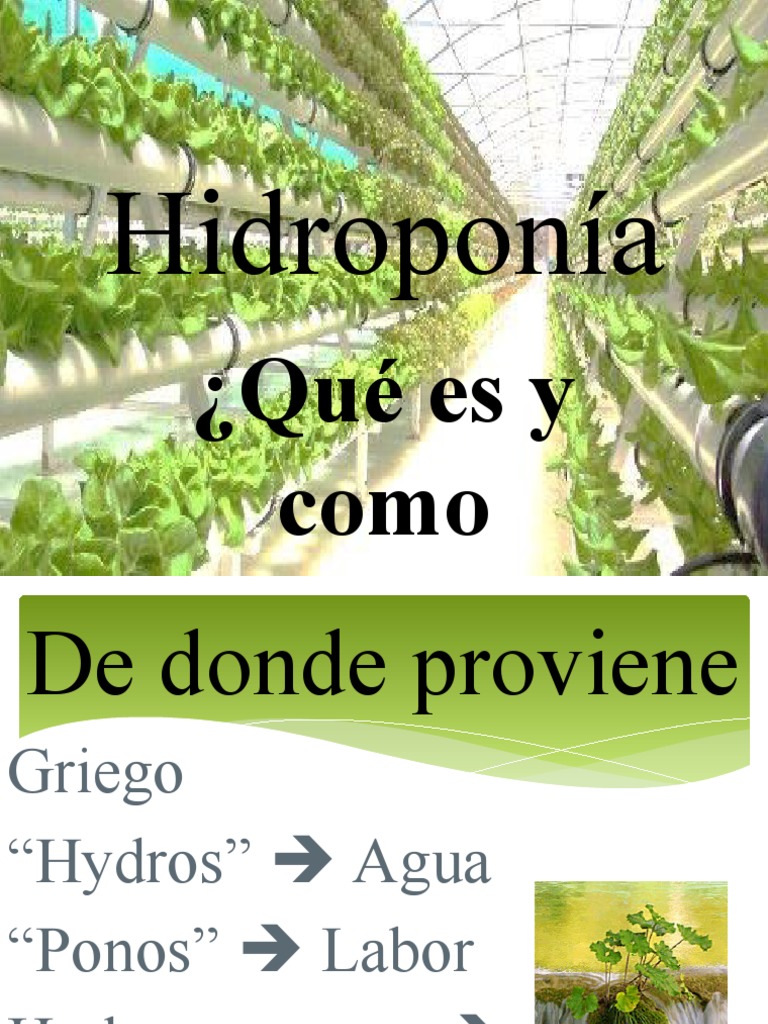 Hidroponía | PDF | Hidroponia | Botánica