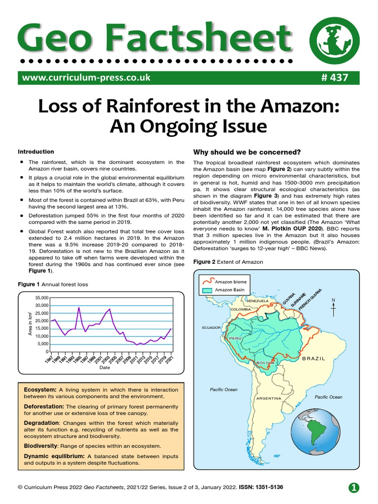 437 Loss of Rainforest in the Amazon | PDF | Amazon Rainforest ...