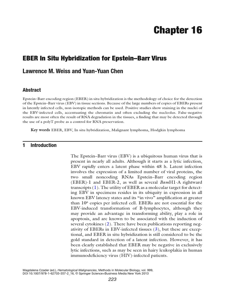 2013.EBER in Situ Hybridization. Weiss. | PDF | Lymphoma | Medical Specialties
