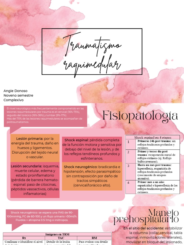 Traumatismo Raquimedular: Manejo y Fisiopatología | PDF | Lesión ...