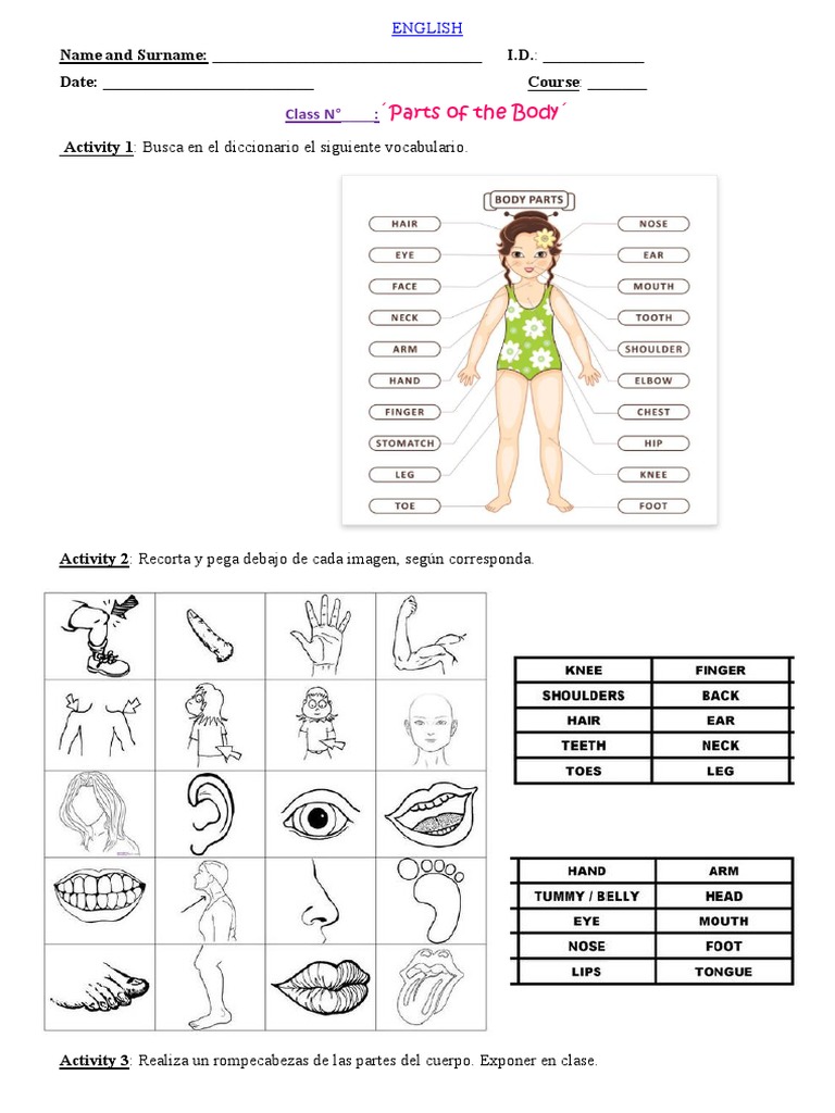 1° -Class N°11-BODY PARTS | PDF