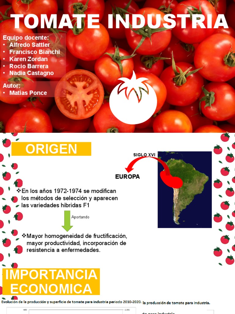 Cultivo de Tomate Industria Matias Ponce 2022 | Descargar gratis PDF | Tomate | Fruta