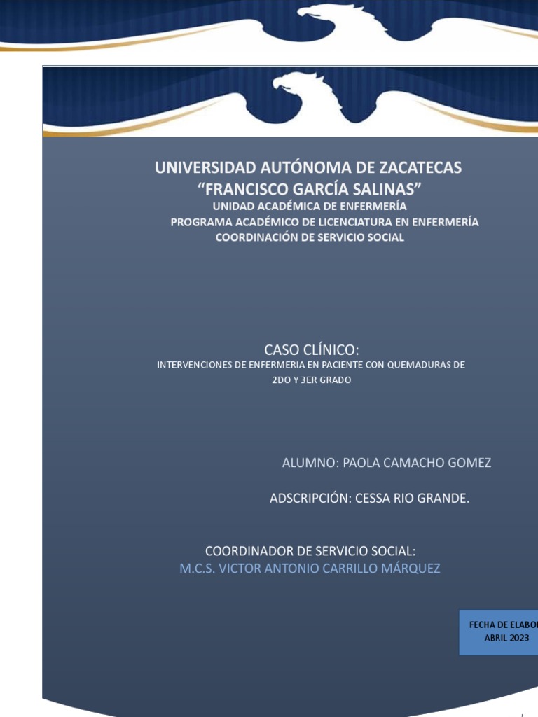 Pae Pao | PDF | Quemar | Herida