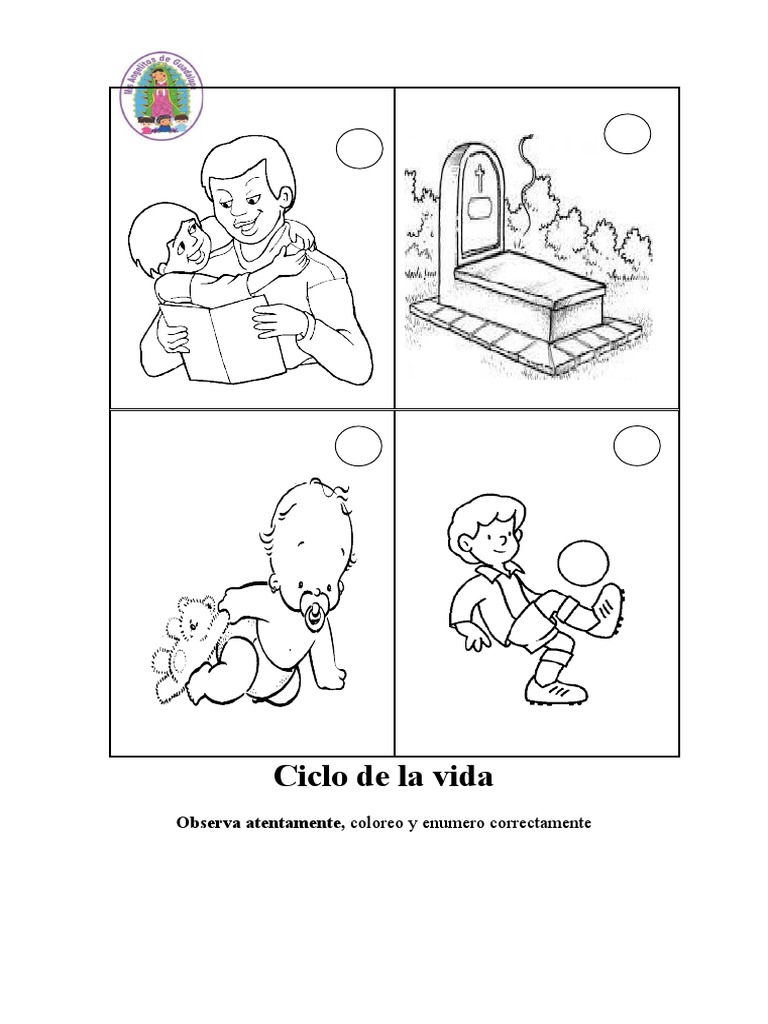 Ciclo de La Vida | PDF