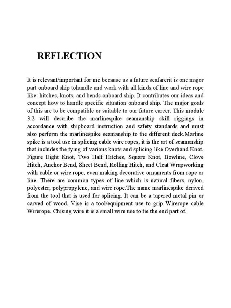 Electronic Reflection 3.2 | PDF | Computers | Technology & Engineering