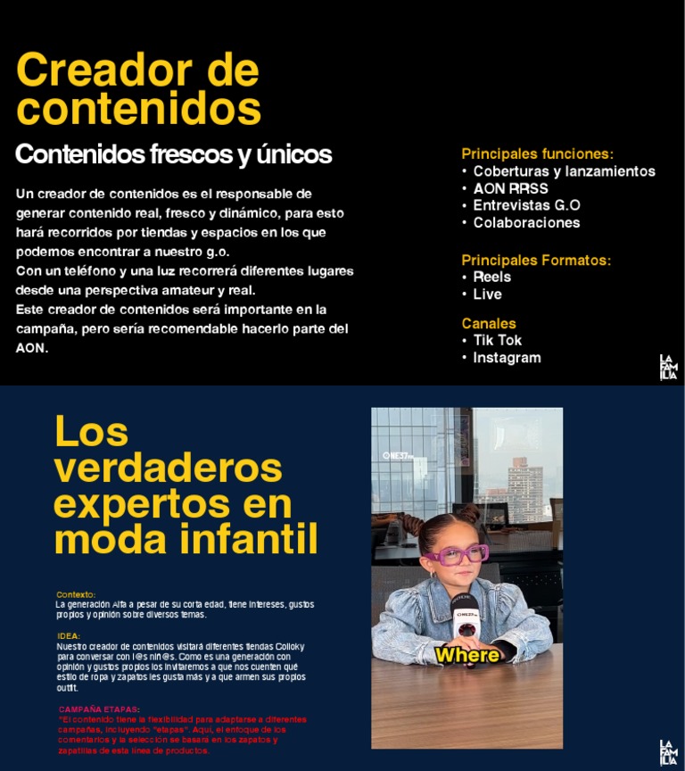 Board Creador de Contenido y Expertos en Modo | PDF