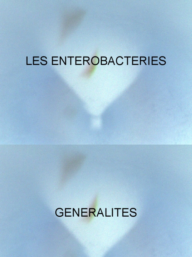 Entérobac A Cours 1 | PDF | Escherichia coli | Salmonelle