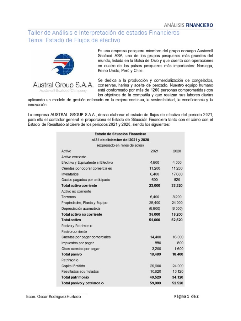 Austral Group S.A | Descargar gratis PDF | Contabilidad | Servicios ...