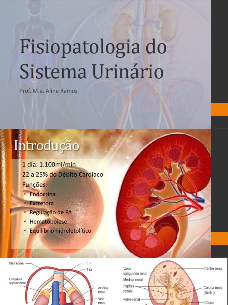 Fisiopatologia Do Sistema Urinario | PDF