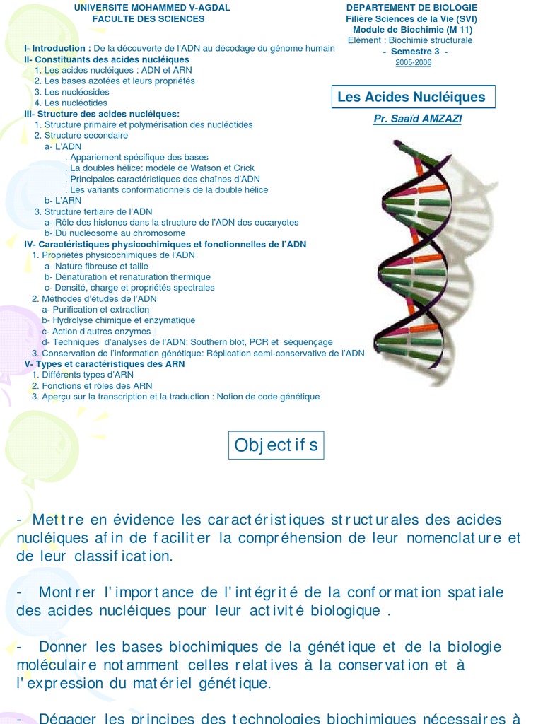 Les Acides Nucléiques: Pr. Saaïd AMZAZI | ADN | Génétique
