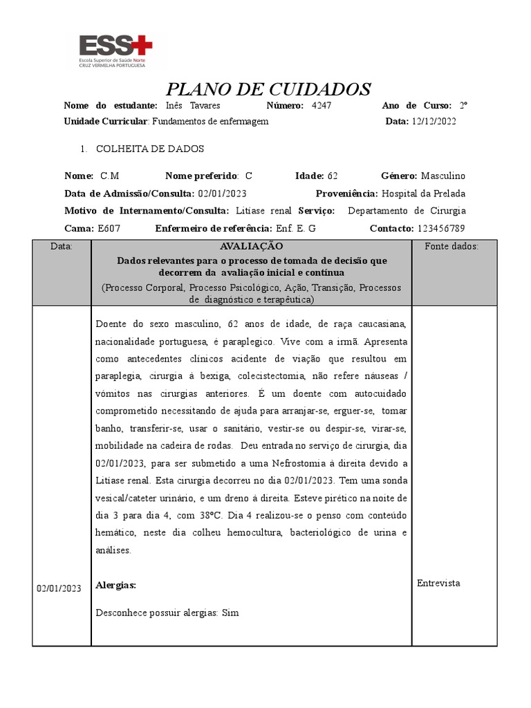 Plano de Cuidados III | PDF | Dor | Enfermagem