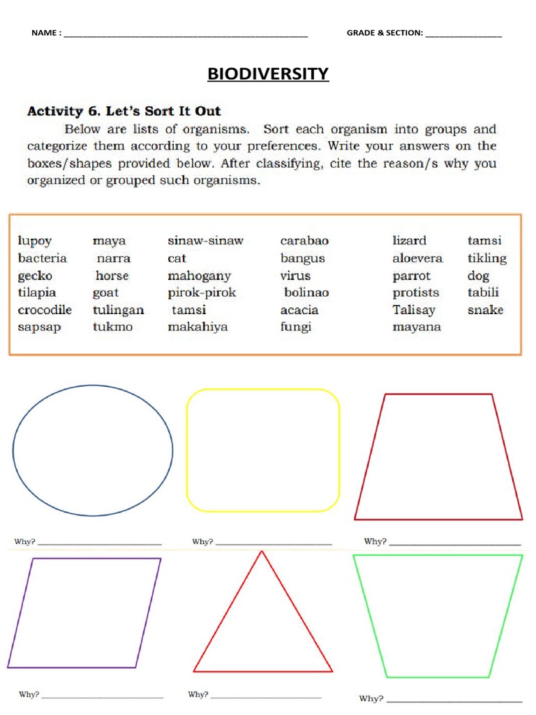 Biodiversity - Activity Sheets | PDF