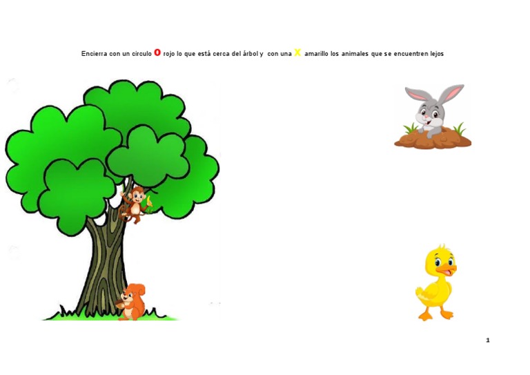 Ficha Nociones Cerca - Lejos | PDF