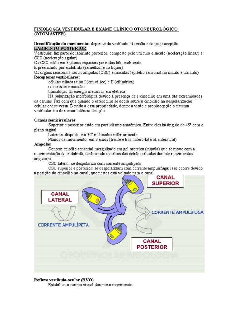 Cópia de 3 FISIOLOGIA VESTIBULAR E EXAME CLÍNICO OTONEUROLÓGICO TV ...