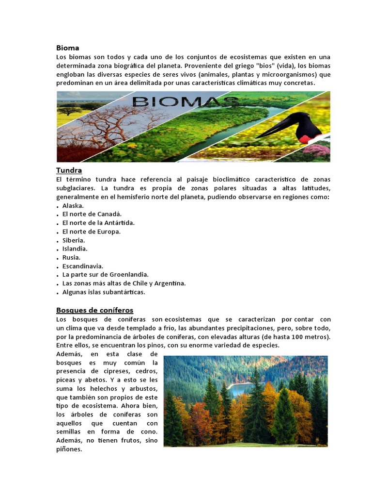 Biomas | PDF | Desierto | Selva