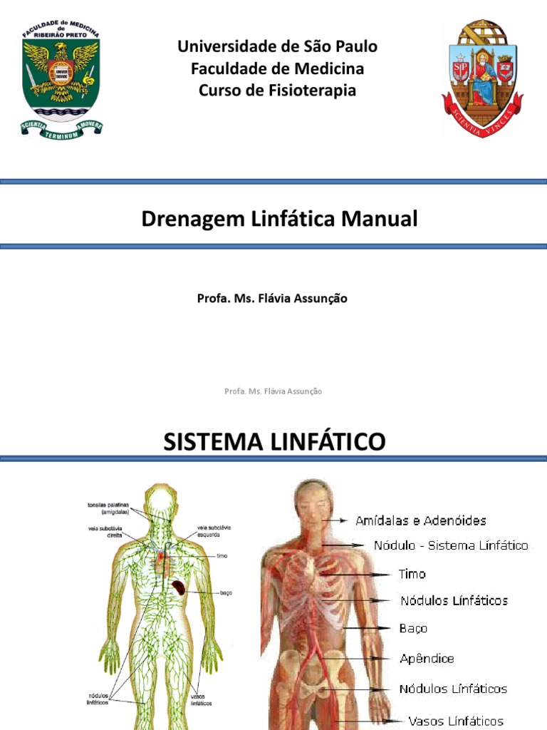 Drenagem Linfática Manual: Fundamentos e Técnicas | PDF | Sistema ...