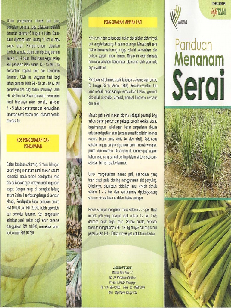 Serai | PDF