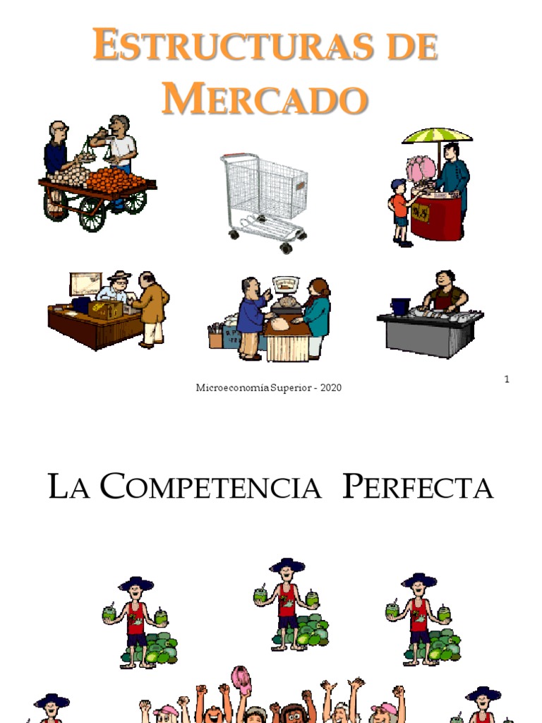 13 - Competencia Perfecta | PDF | Oferta (economía) | Mercado (economía)