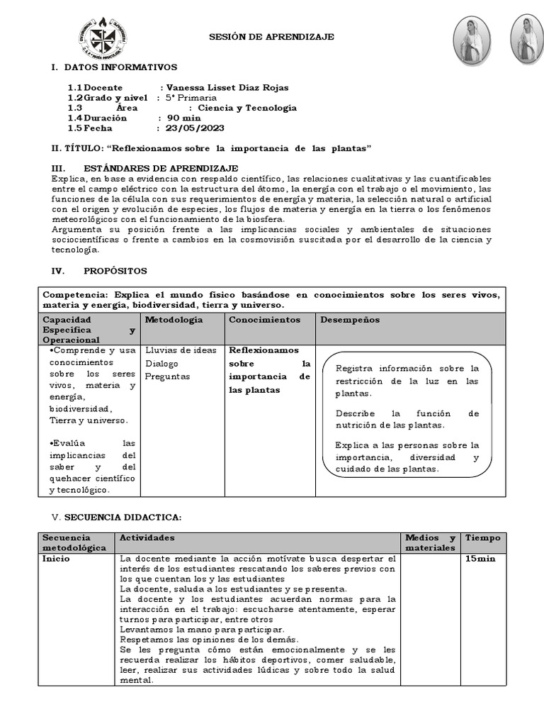 Sesión de Aprendizaje - 5°primaria | PDF | Plantas | Importar
