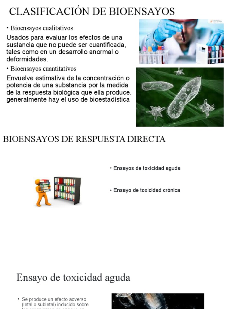 Clasificación de Bioensayos | PDF