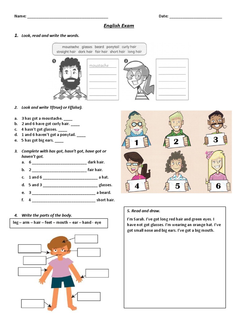 Describing people, parts of the body | PDF | Hair | Glasses