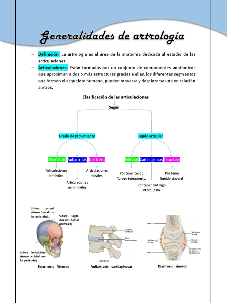 Generalidades de Artrología | PDF | Articulación | Cartílago